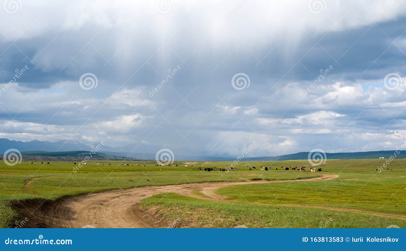 Mongolian Grassland with Grazing Livestock. Stock Image - Image of ...