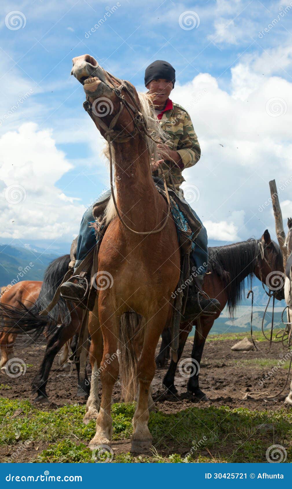 Mongolian herdsman stock image. Image of horseback, jockey - 30425721
