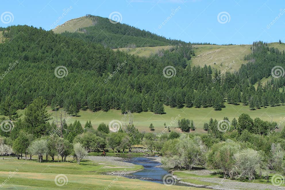 Mongolian Landscape and Nature Stock Photo - Image of forest, pasture ...