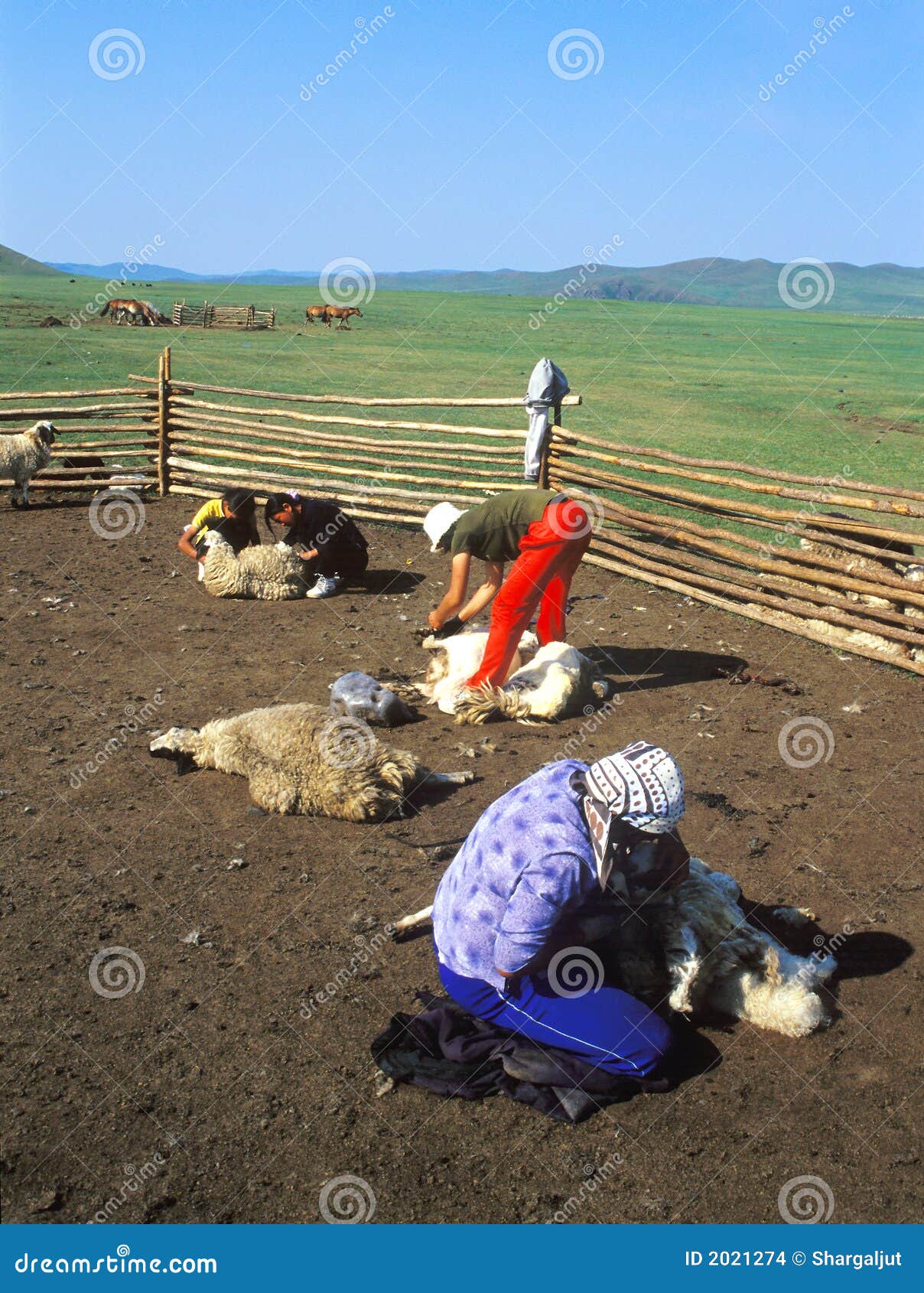 Mongolian life stock photo. Image of grange, clip, asian - 2021274