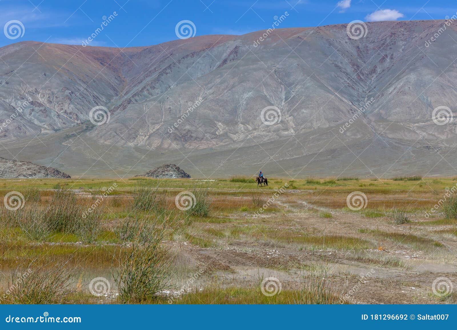 Mongolian Nomad in the Steppes of Mountain Altai Editorial Photography ...