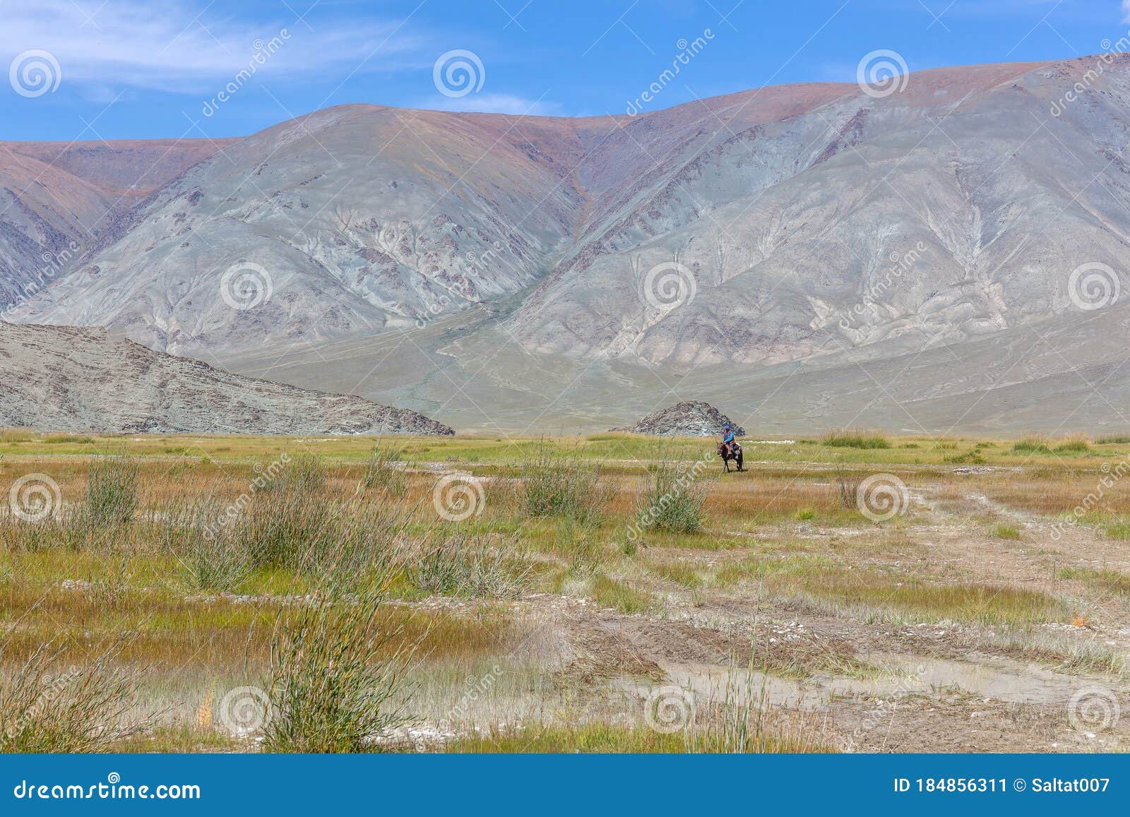 Mongolian Nomad in the Steppes of Mountain Altai Stock Image - Image of ...