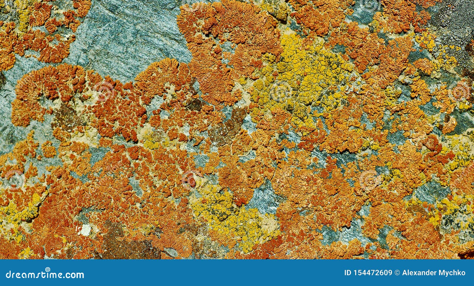 Mongolian Structure of Surface of the Stone Stock Image - Image of hard ...