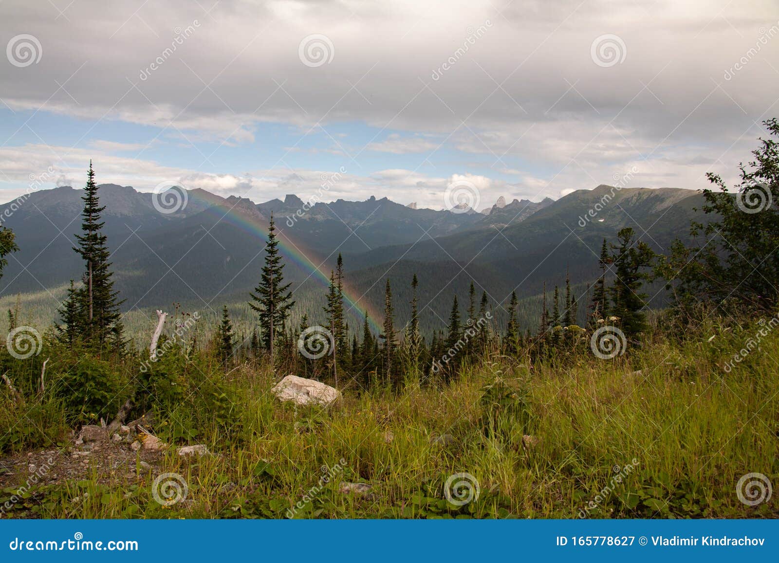 Mongolian Valley Steppe Trees and Mountains Stock Image - Image of ...