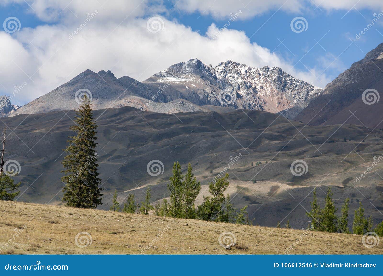 Mongolian Valley Steppe Trees and Mountains Stock Photo - Image of ...