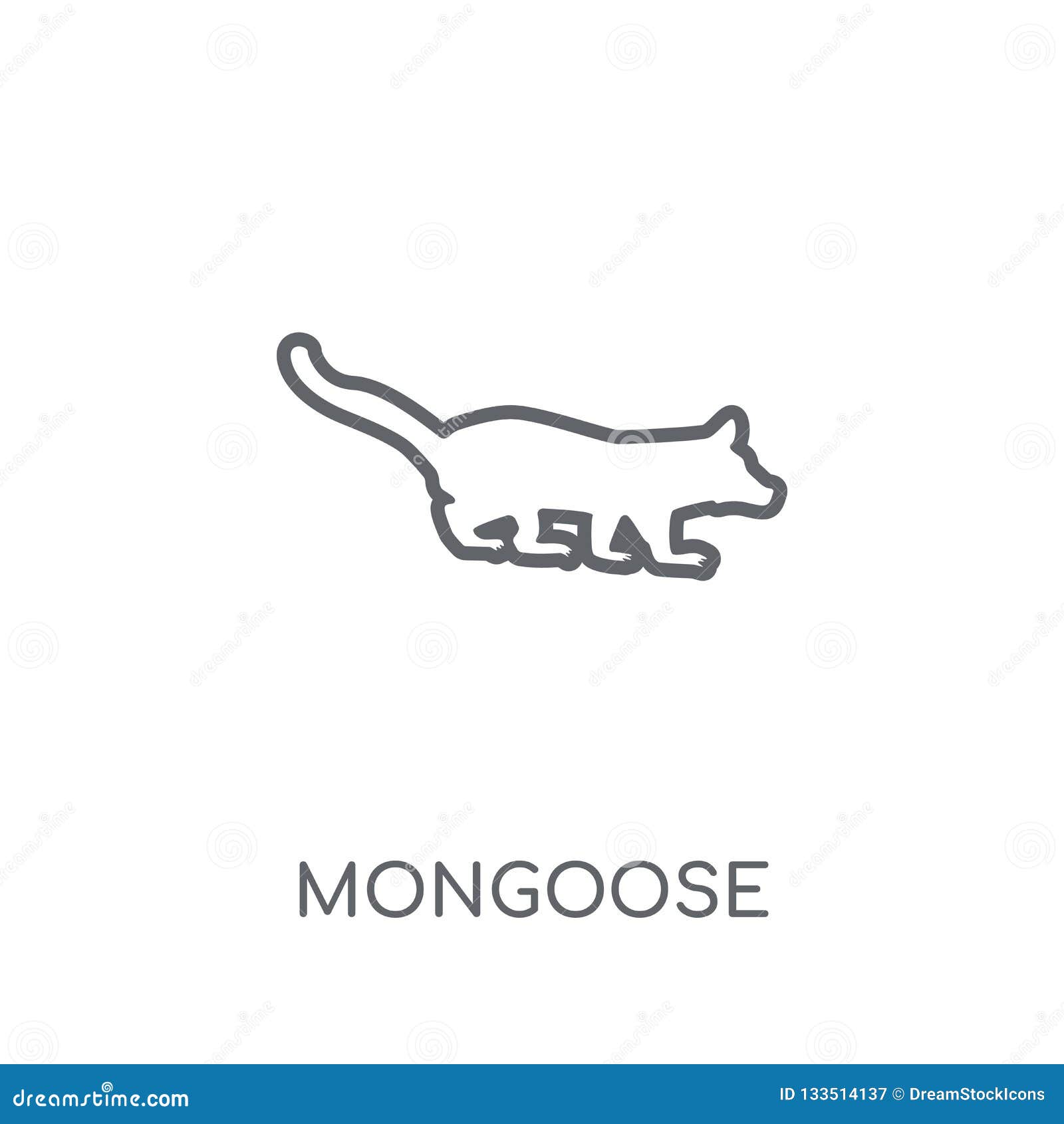 Mongoose Linear Icon. Modern Outline Mongoose Logo Concept On Wh ...