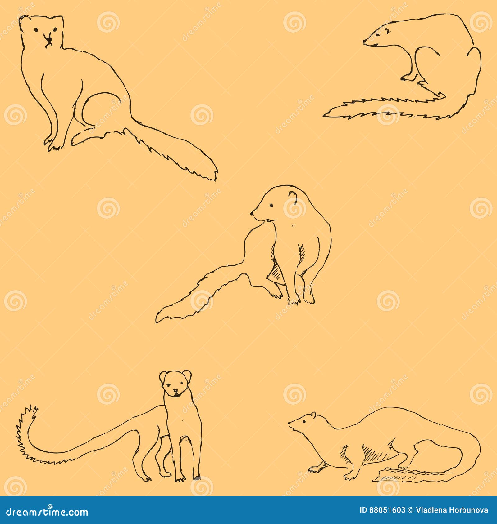 Mongoose. Sketch by Hand. Pencil Drawing by Hand. Vector Image. the ...