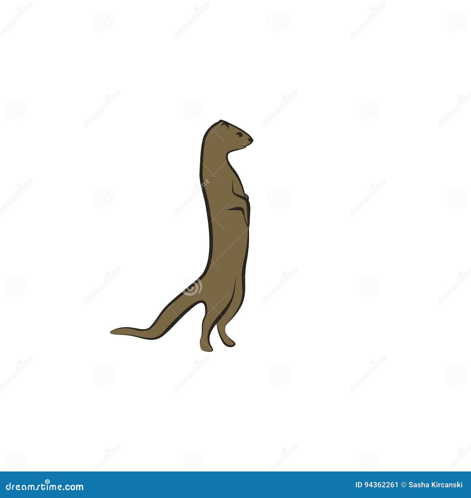 Mongoose Animal Standing On A White Background Cartoon Vector ...