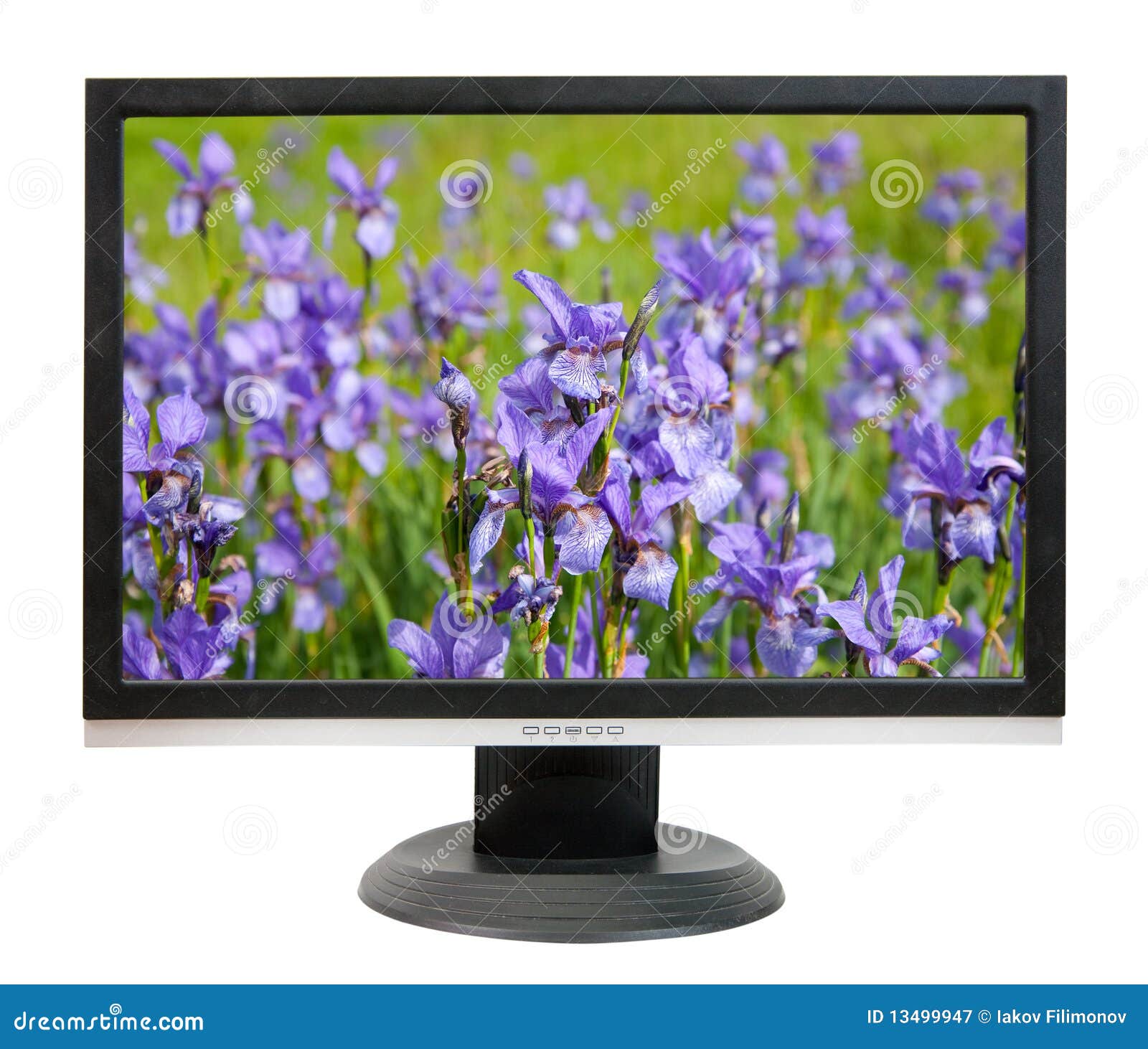 Monitor del Lcd imagen de archivo. Imagen de digital - 13499947