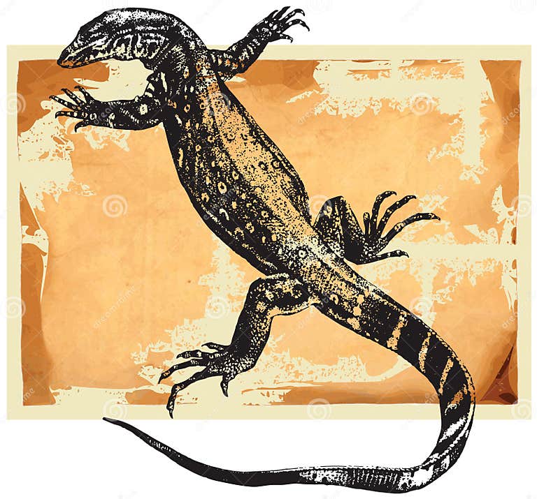 Monitor lizard stock vector. Illustration of nature, lizard - 12789198