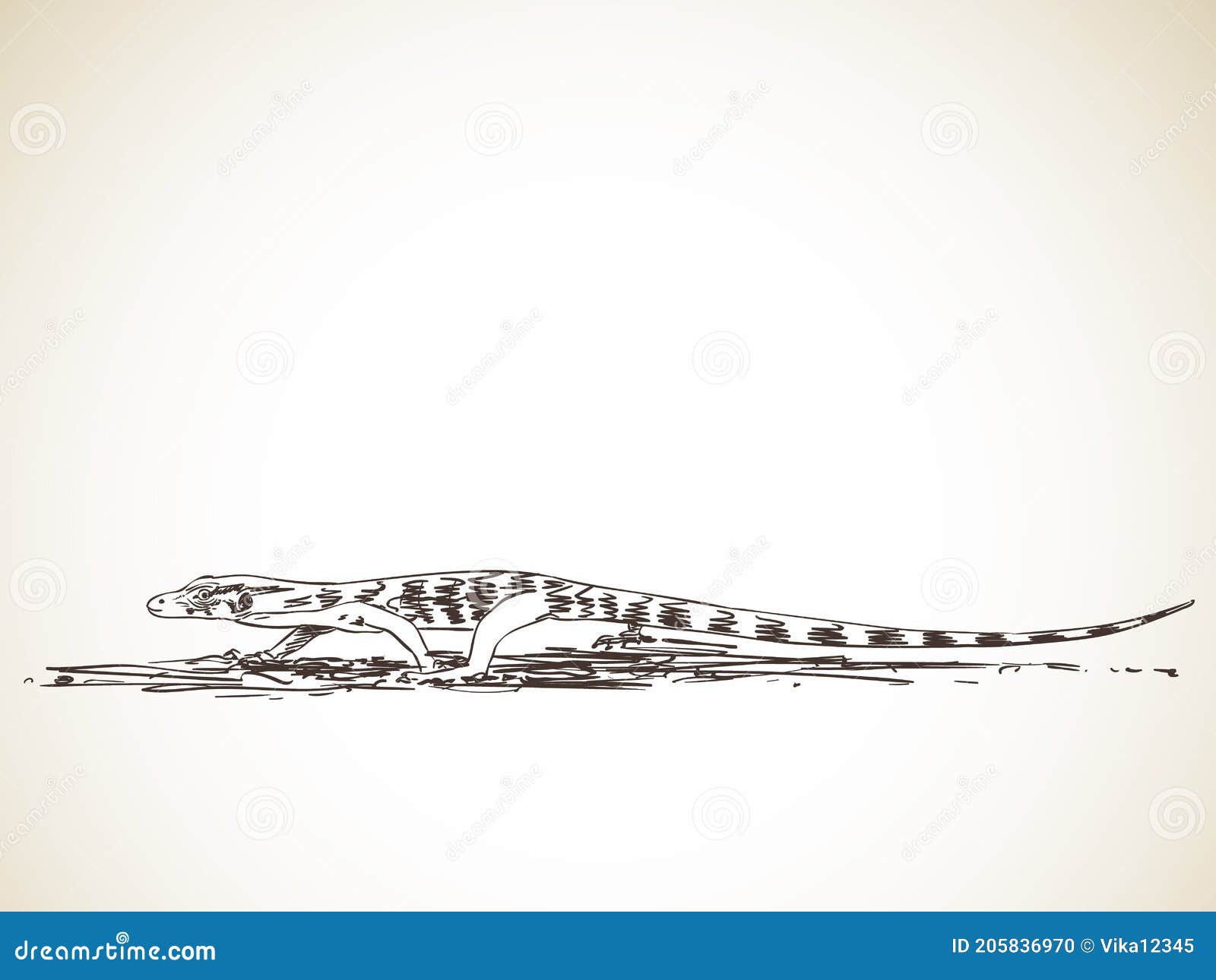 Monitor Lizard Logo. Isolated Monitor Lizard On White Background ...