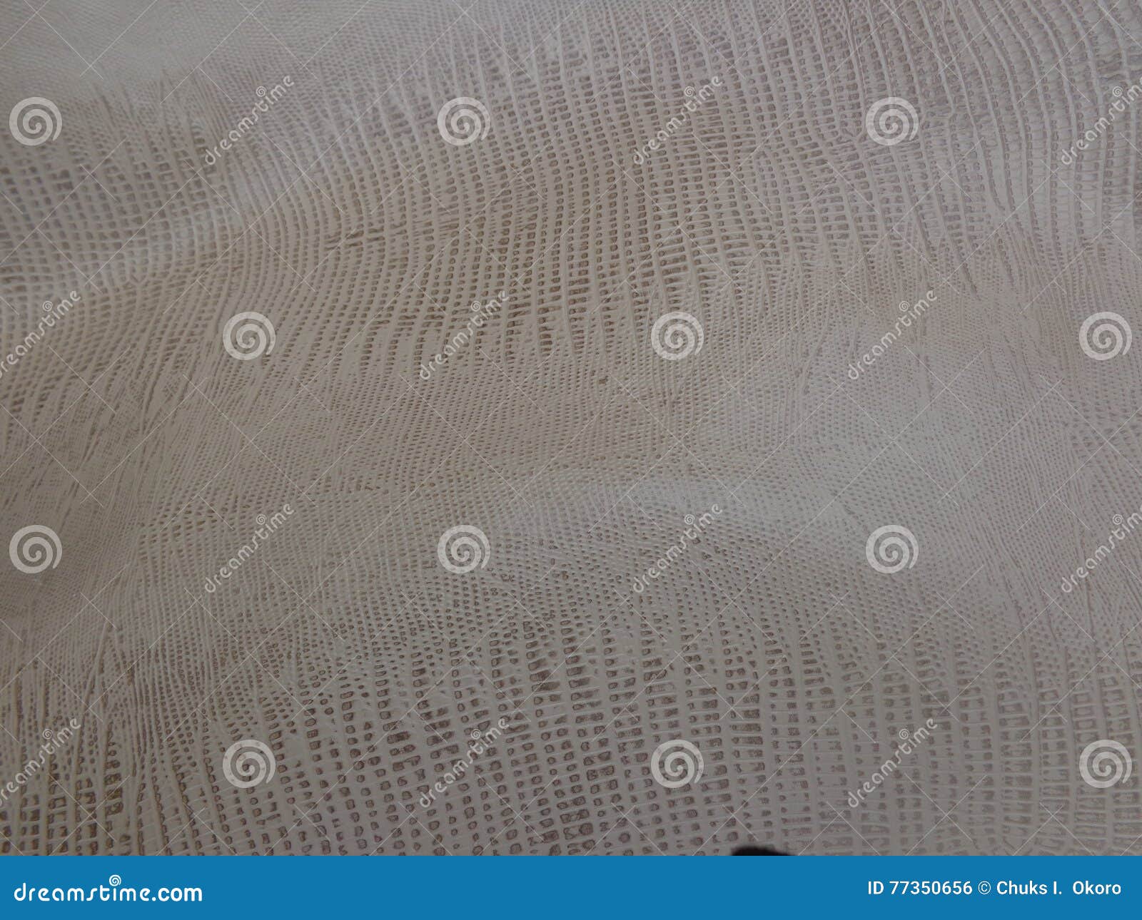 Lizard Skin Pattern Stock Photos - Download 4,117 Royalty Free Photos