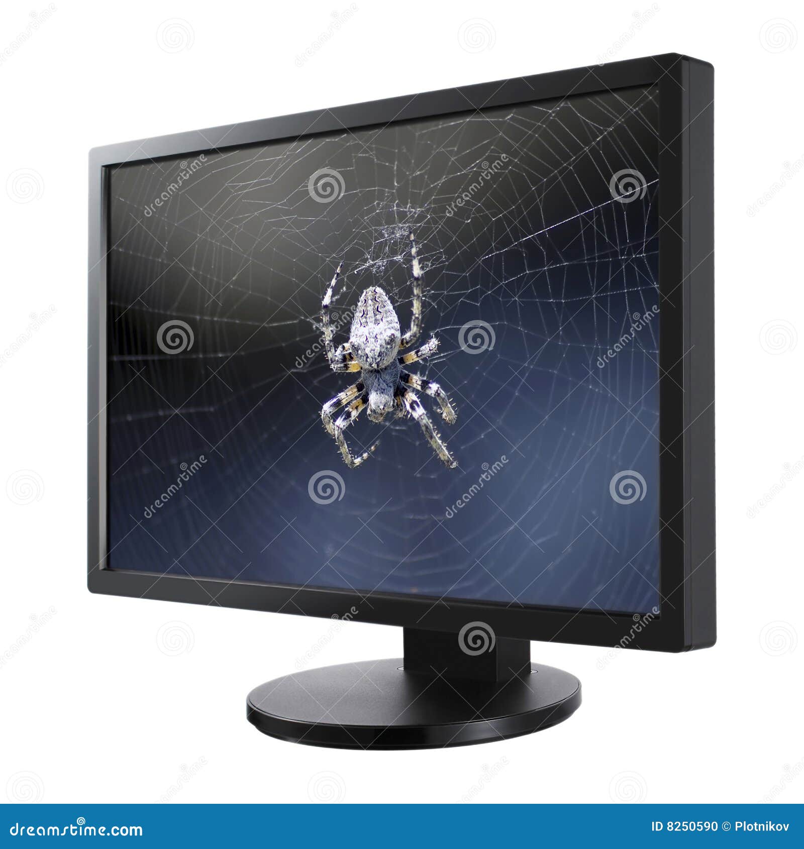 Monitor with Spider stock photo. Image of black, spider - 8250590