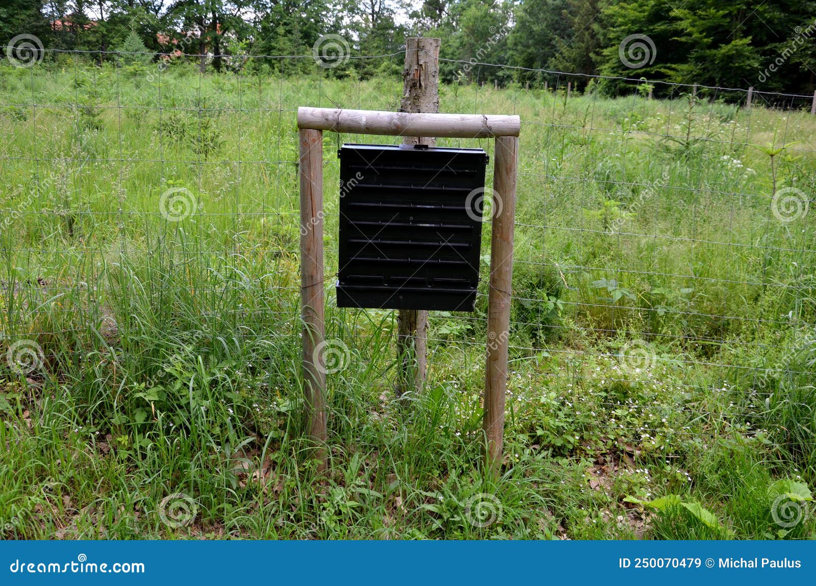 Monitoring and Capture of Bark and Wood-destroying Insects Using ...