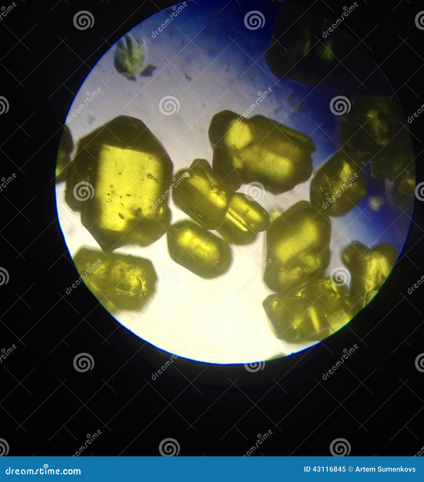 Monitoring of Particles Under a Microscope Stock Image - Image of ...