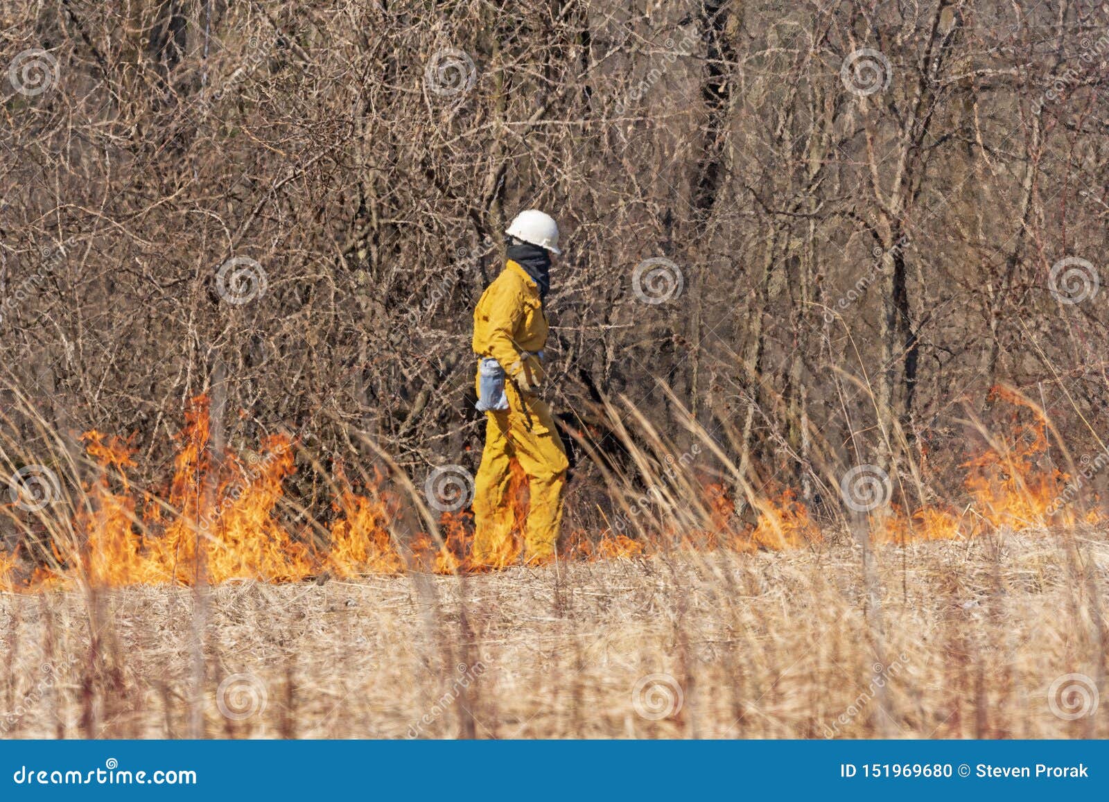 Monitoring the Start of a Controlled Burn Stock Photo - Image of pretty ...