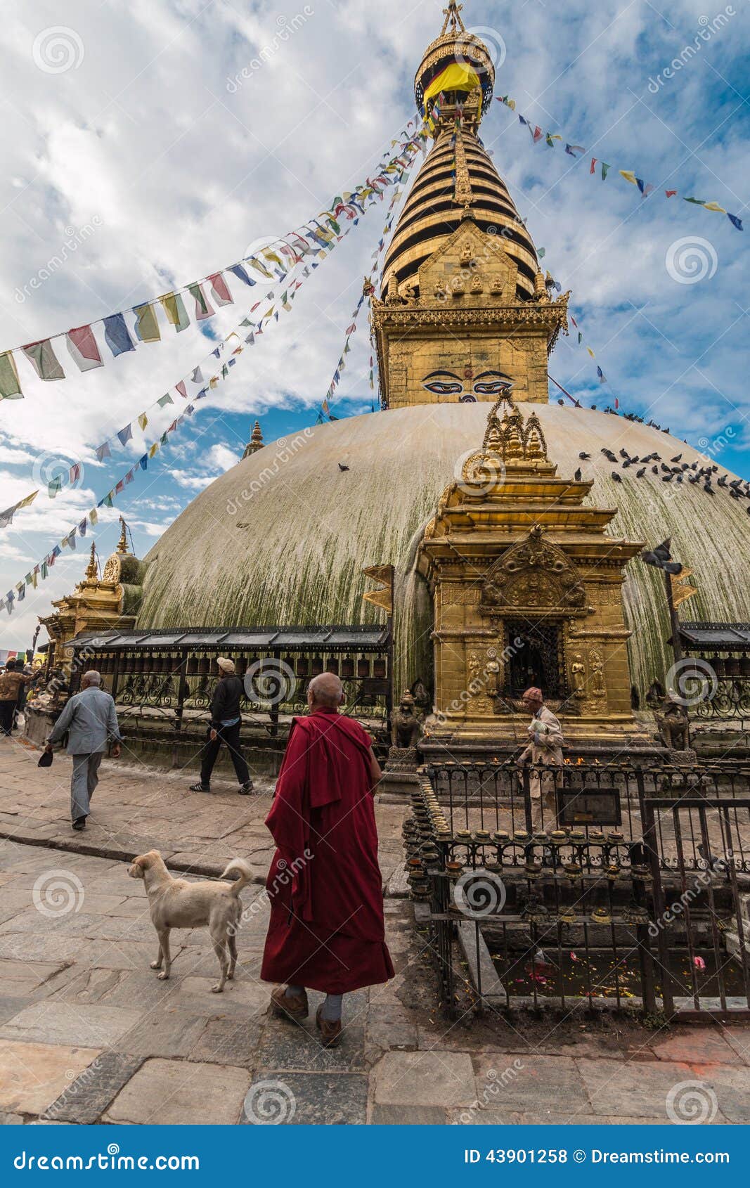 Monk with a Dog in Front of Monkey Temple. Editorial Stock Photo ...