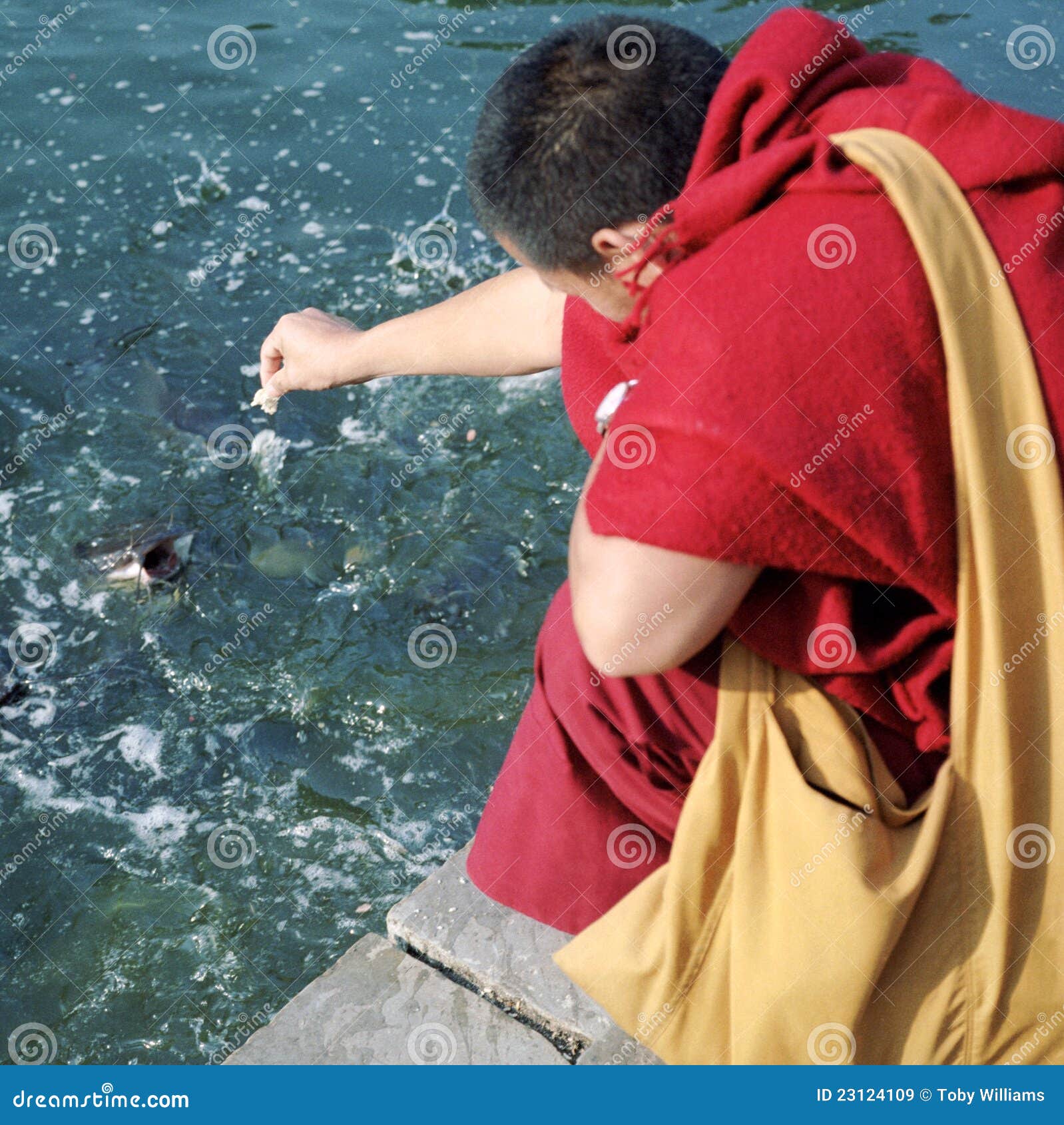 Monk feeding fish editorial stock image. Image of tibet - 23124109