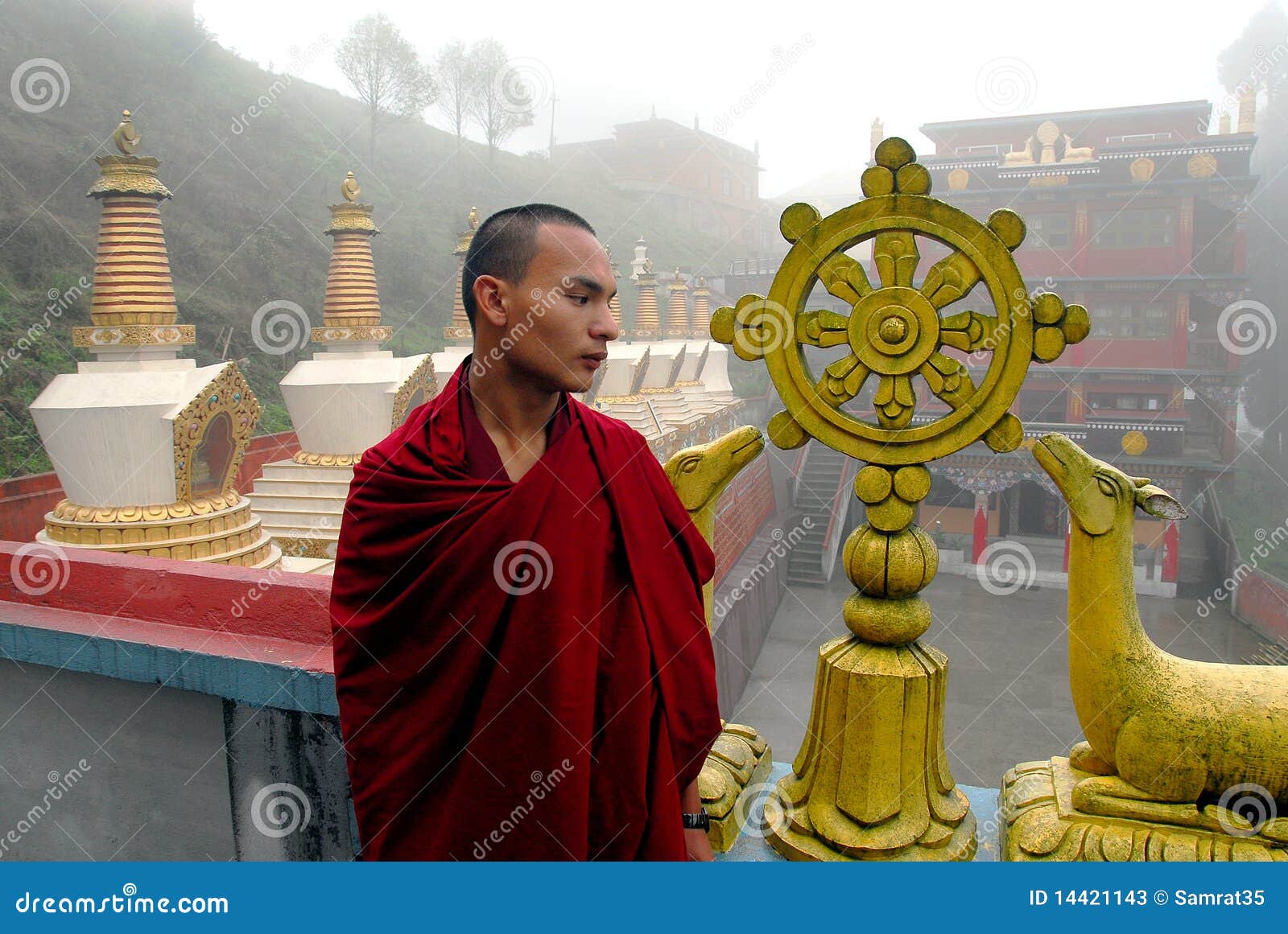 Monk at the Monastary editorial stock photo. Image of india - 14421143