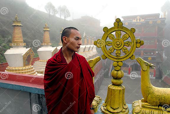 Monk at the Monastary editorial stock photo. Image of india - 14421143