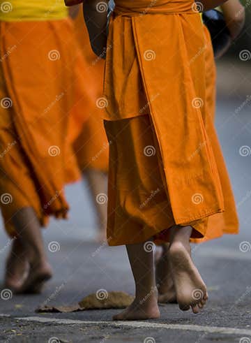 Monk s Feet stock image. Image of eastern, siam, buddhism - 2564345