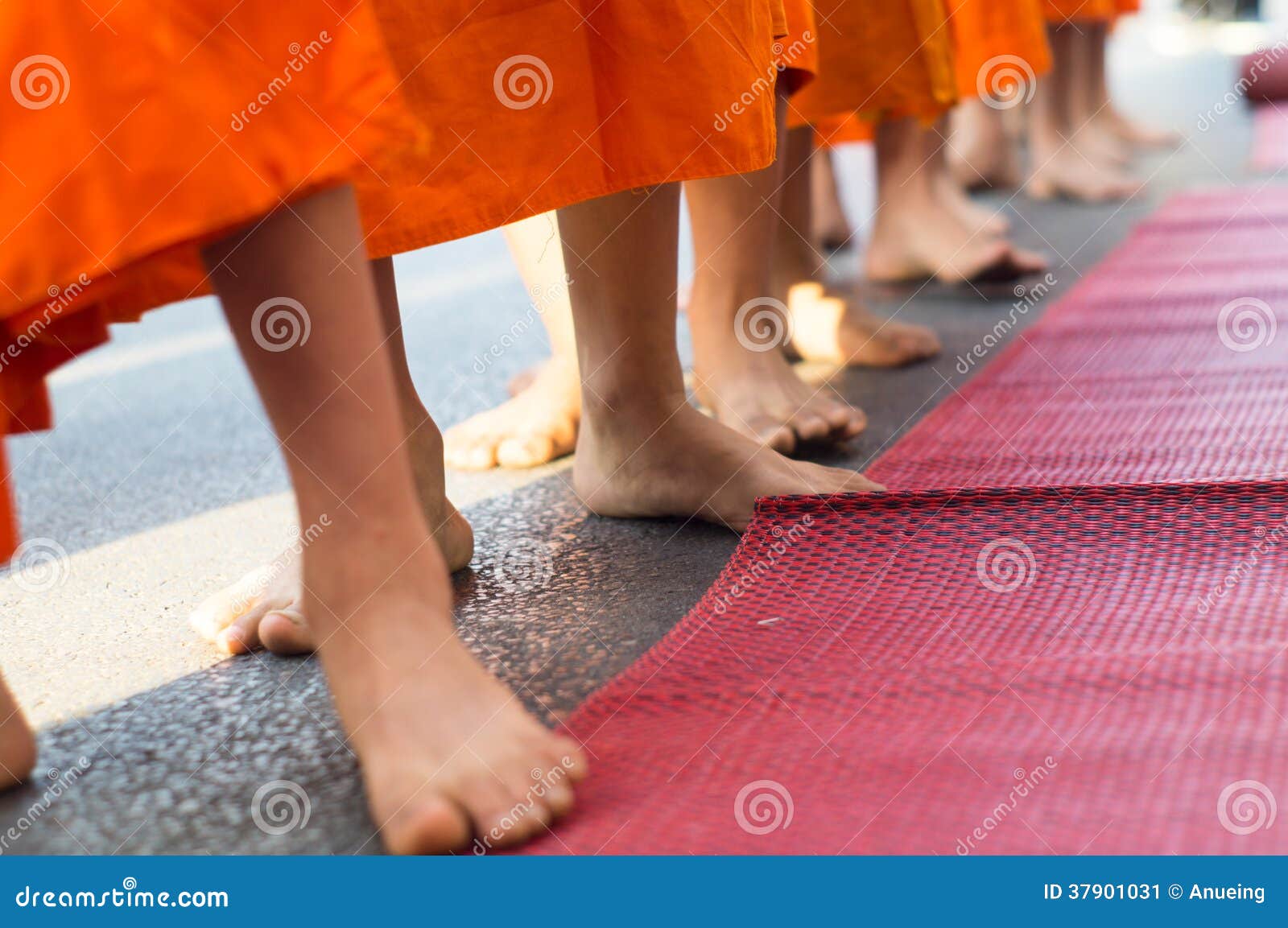 Monk s feet stock image. Image of faith, life, strong - 37901031