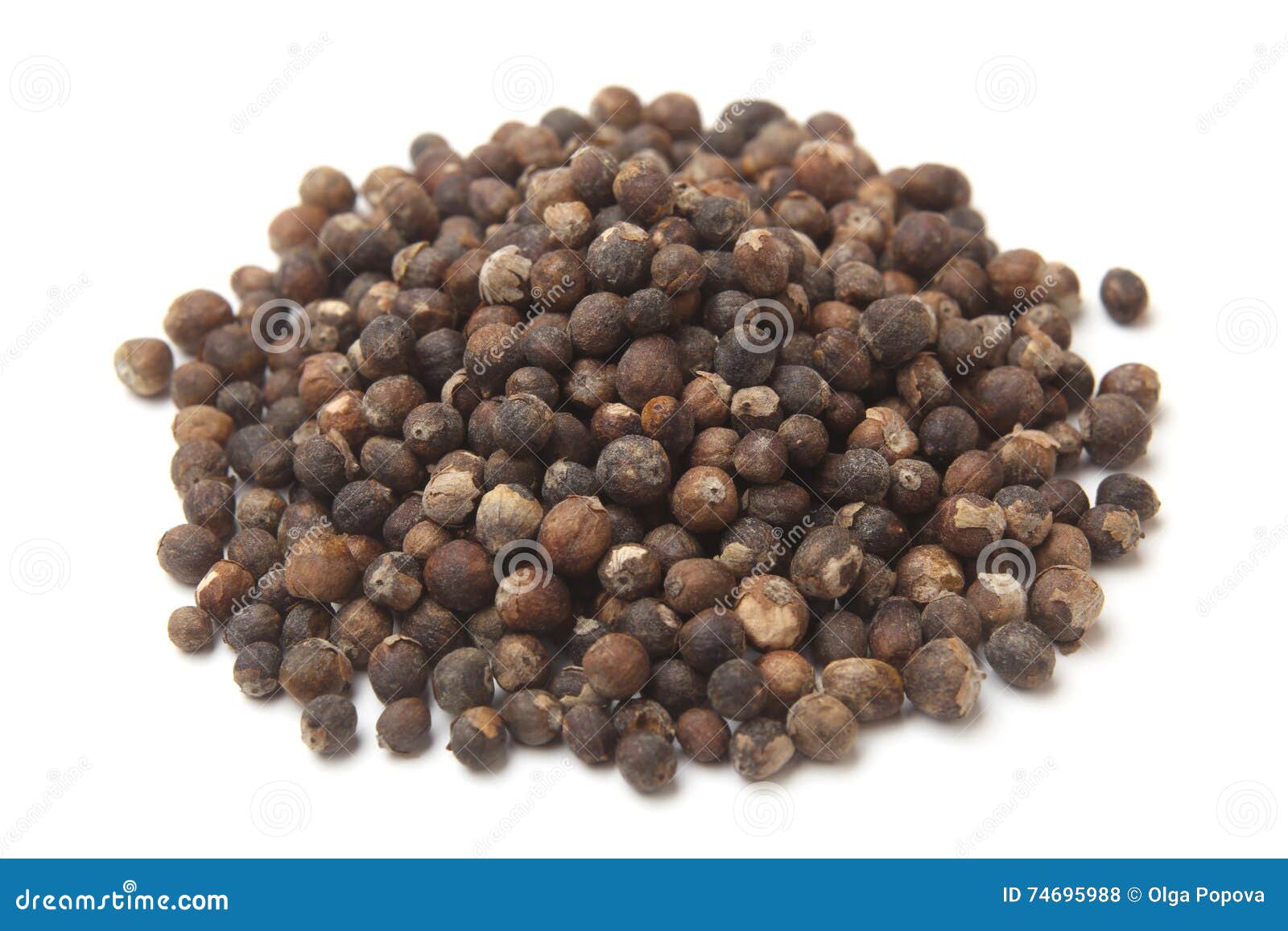 Monk`s pepper stock photo. Image of color, chastetree - 74695988