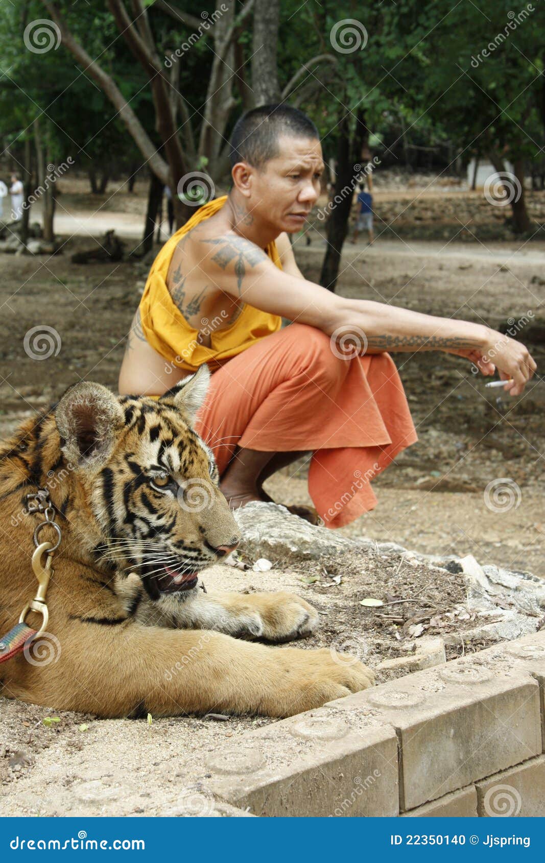 Monk and the Tiger editorial image. Image of gentle, domesticated ...