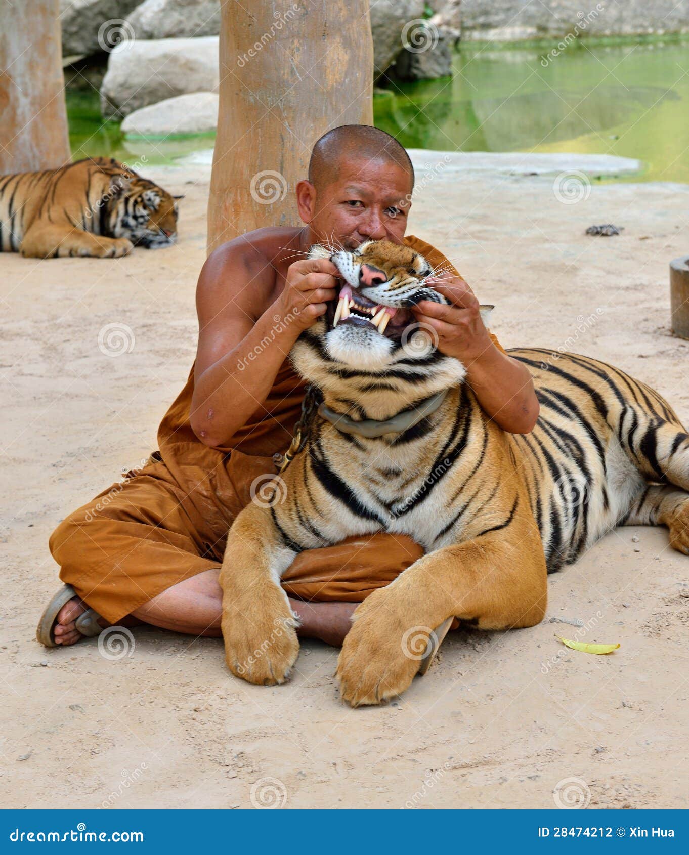 Tiger And Human Faced-sun Mosaics On The Wall Of The Sher- Dor Madrasah ...