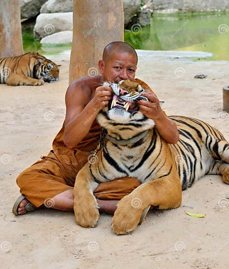 Monk and Tiger editorial photography. Image of hunter - 28474212