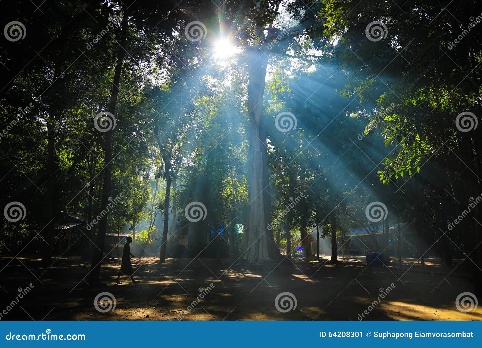 Monk Walk in Forest Temple in Color. Stock Image - Image of statue ...