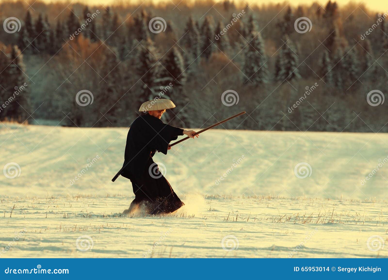 Monk Warrior among Snow Forest Stock Photo - Image of knight, kathmandu ...