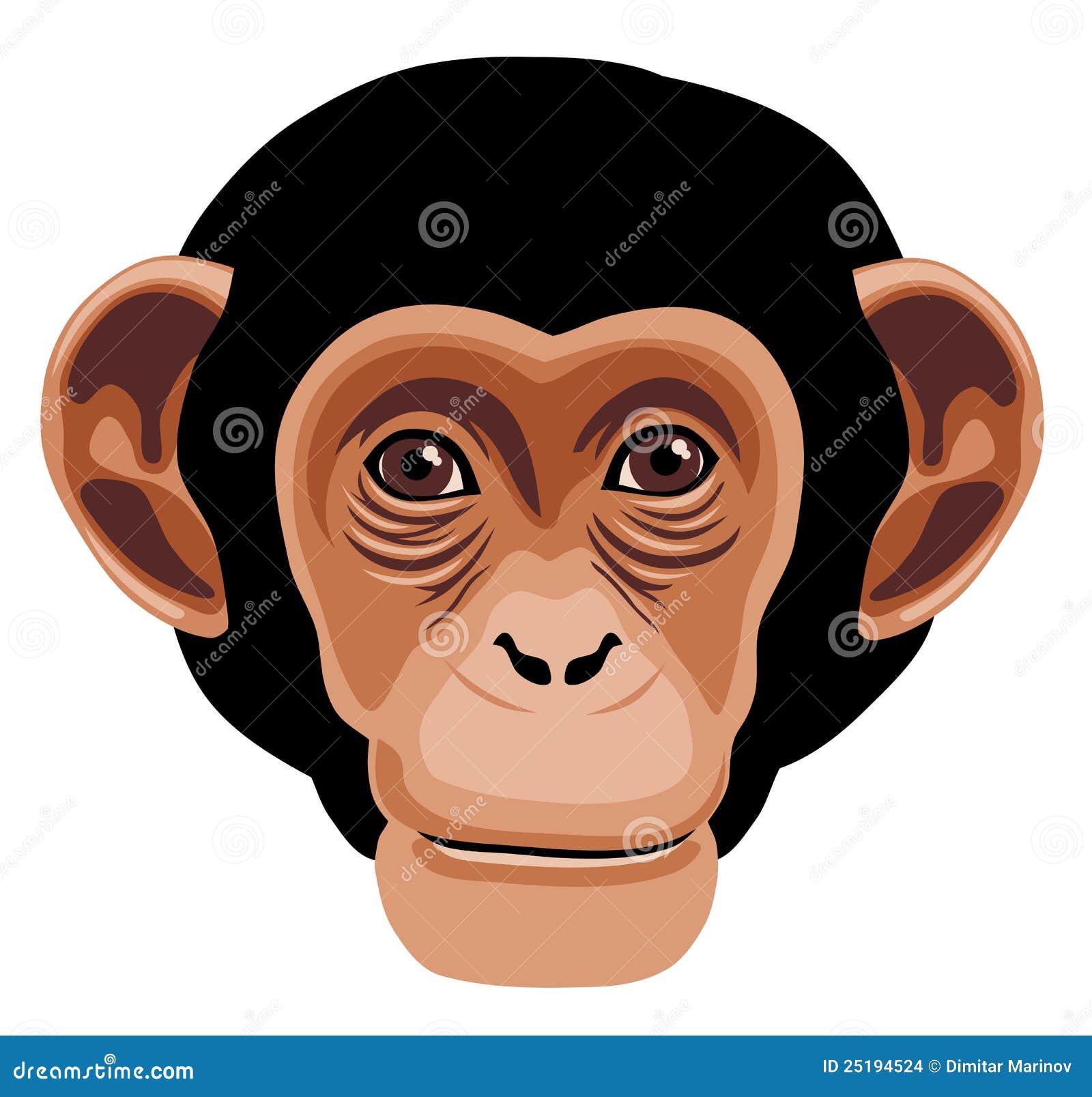 24-the 3rd Monkey Stock Photography | CartoonDealer.com #48501266