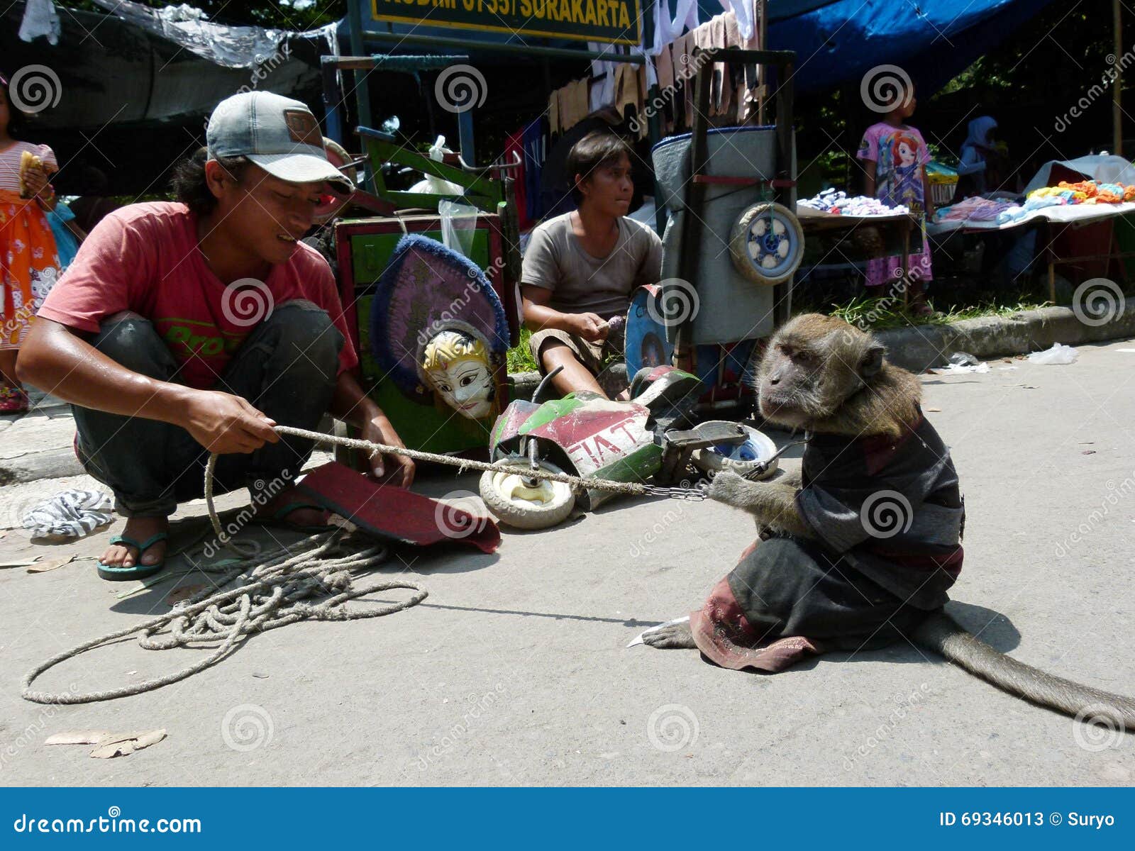 Monkey acrobatics editorial stock photo. Image of city - 69346013