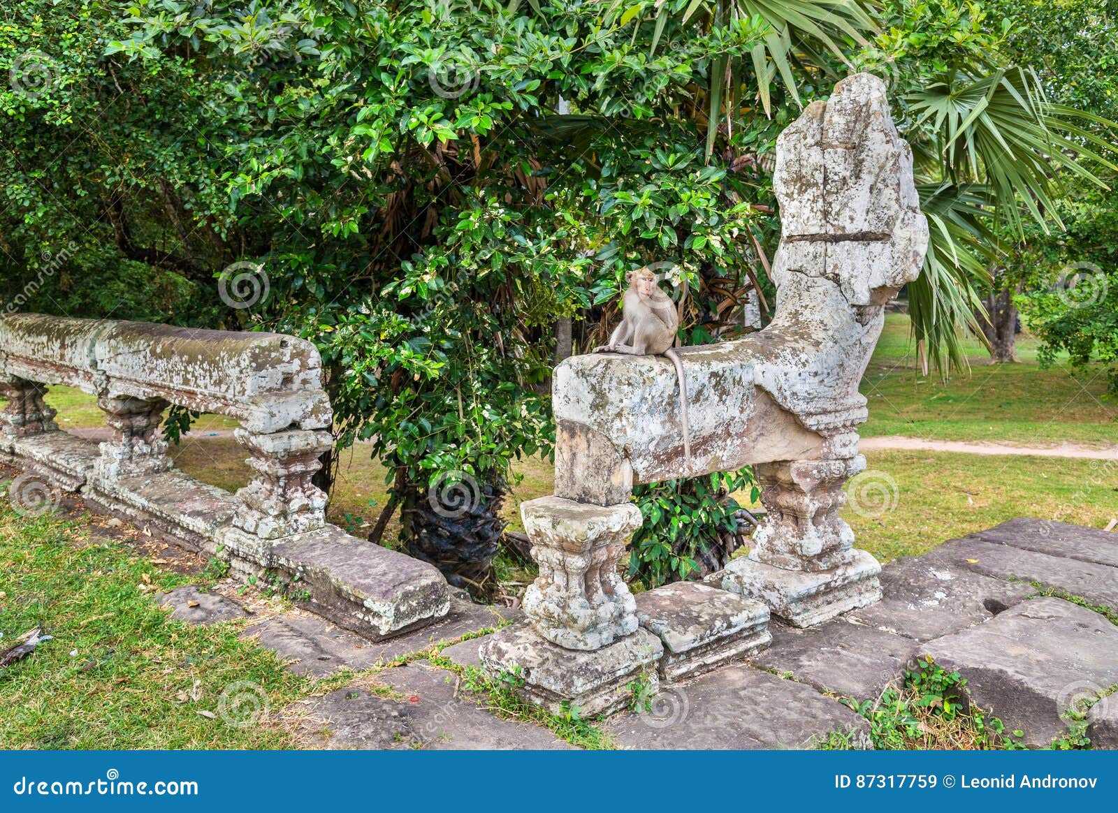 Monkey at Angkor Wat in Cambodia Stock Image - Image of forest, jungle ...