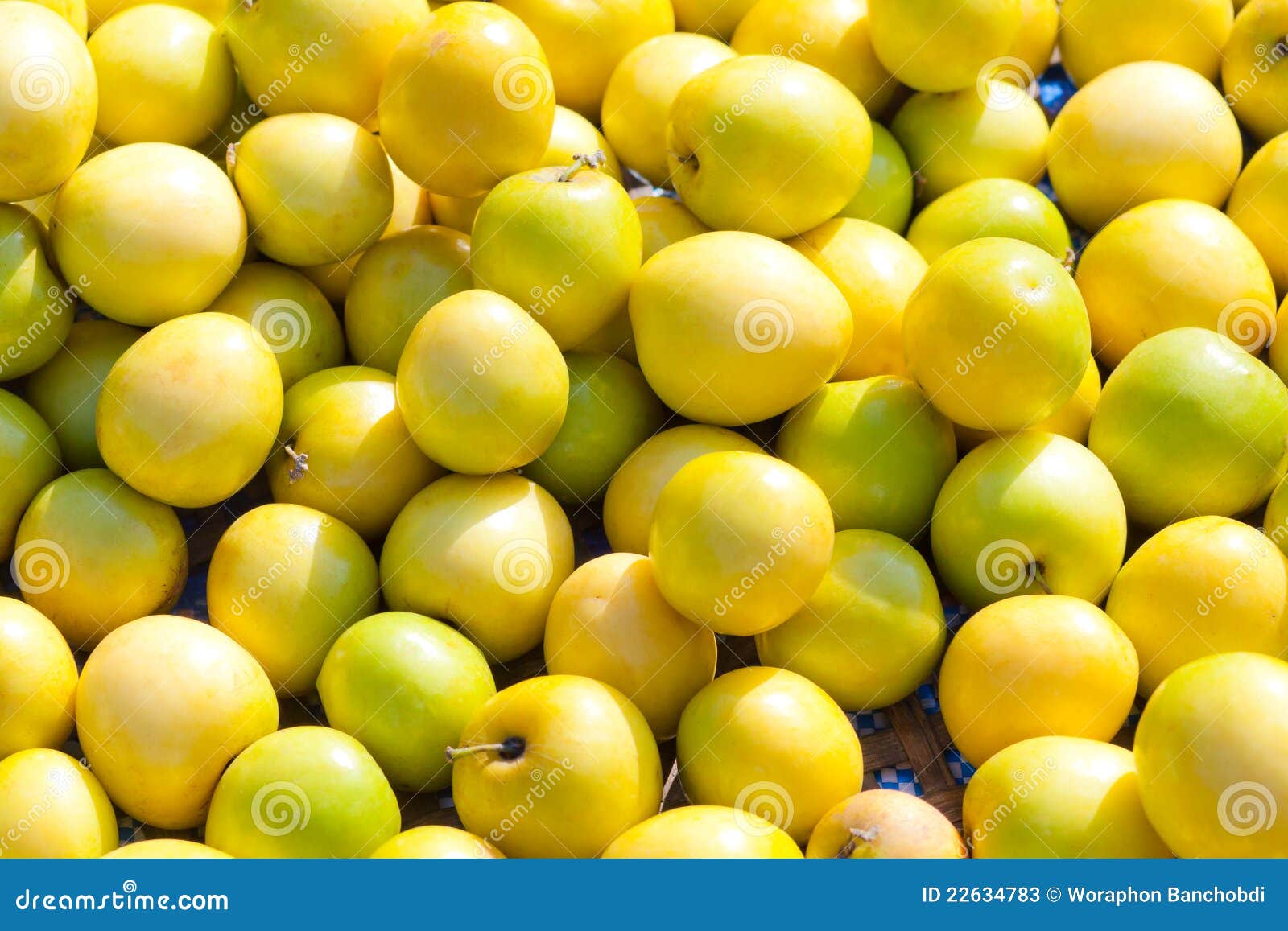 Monkey apple stock image. Image of delicious, jujubes - 22634783