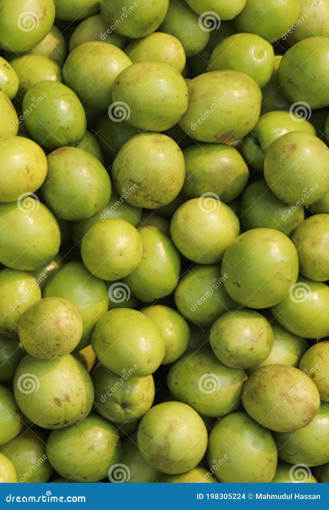Monkey Apple Backgrounds. Fresh and Delicious Monkey Apple Fruits Stock ...