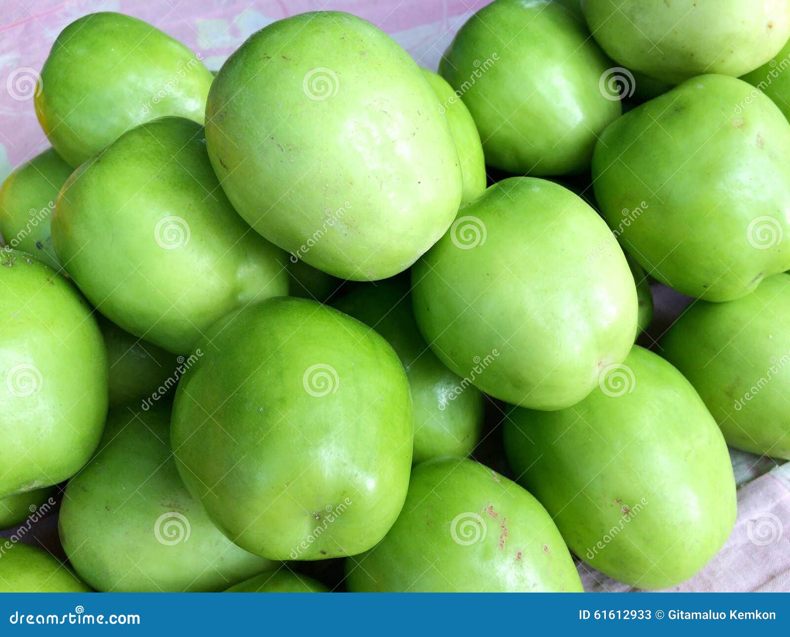 Monkey apple stock image. Image of apple, monkey, garden - 61612933
