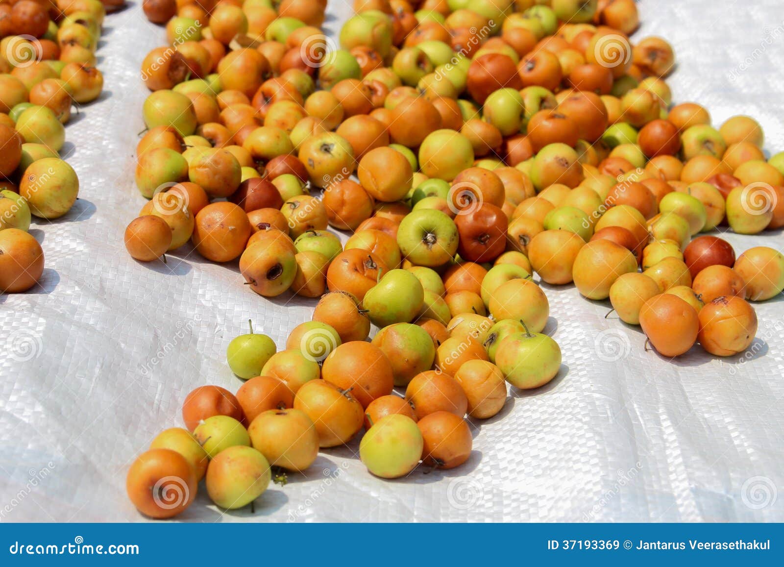 Monkey apple stock image. Image of delicious, fresh, color - 37193369