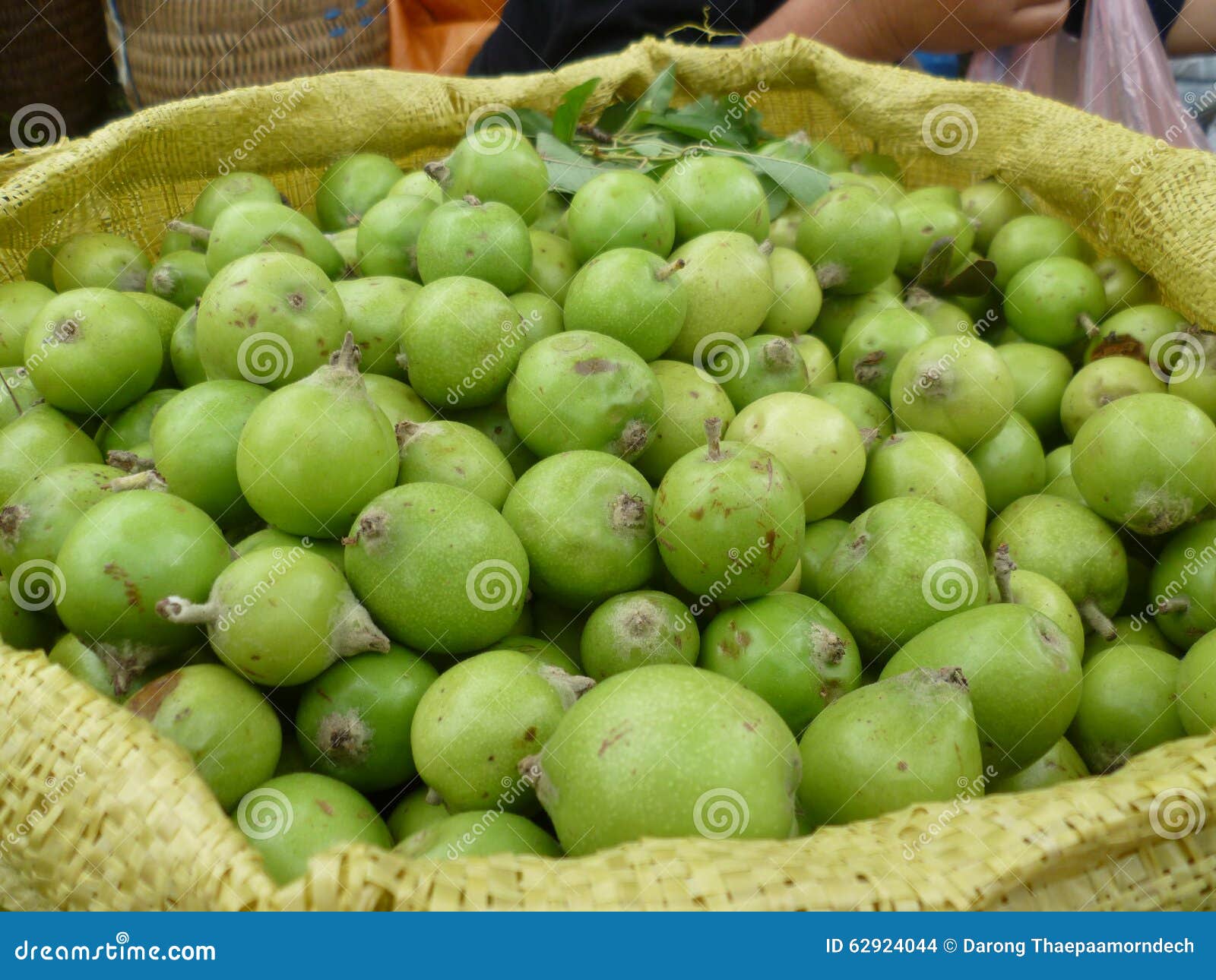 Monkey apple stock photo. Image of monkey, sack, apple - 62924044