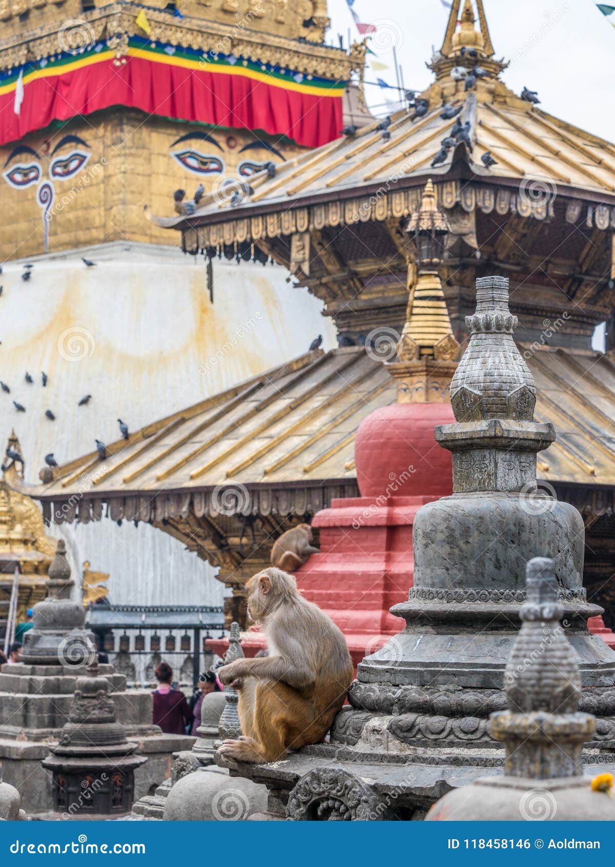Monkey on the Architecture Element of Buddhist Temple Editorial Photo ...