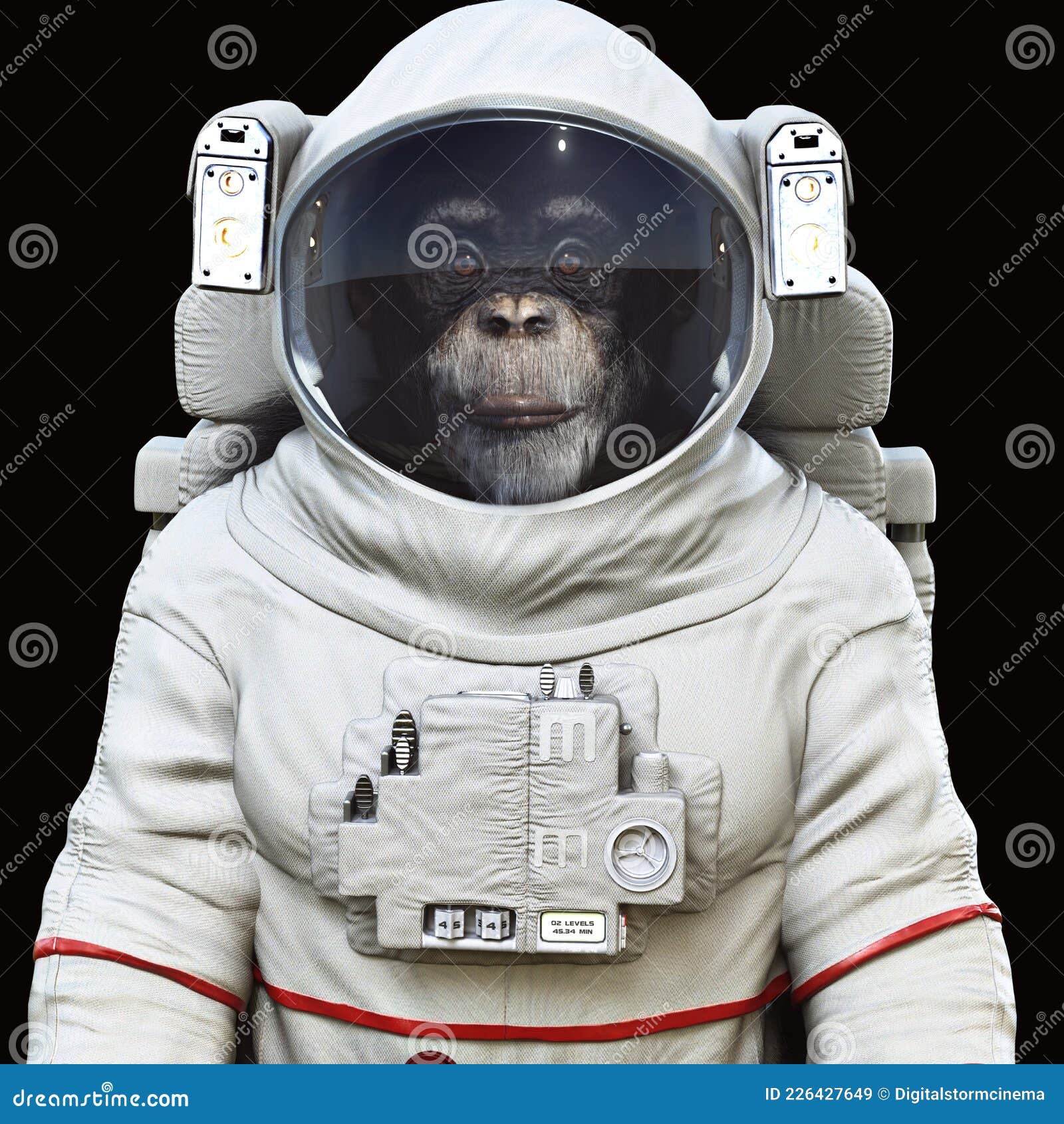 Monkey Astrochimp Posing in a Spacesuit with a Black Background. Stock ...