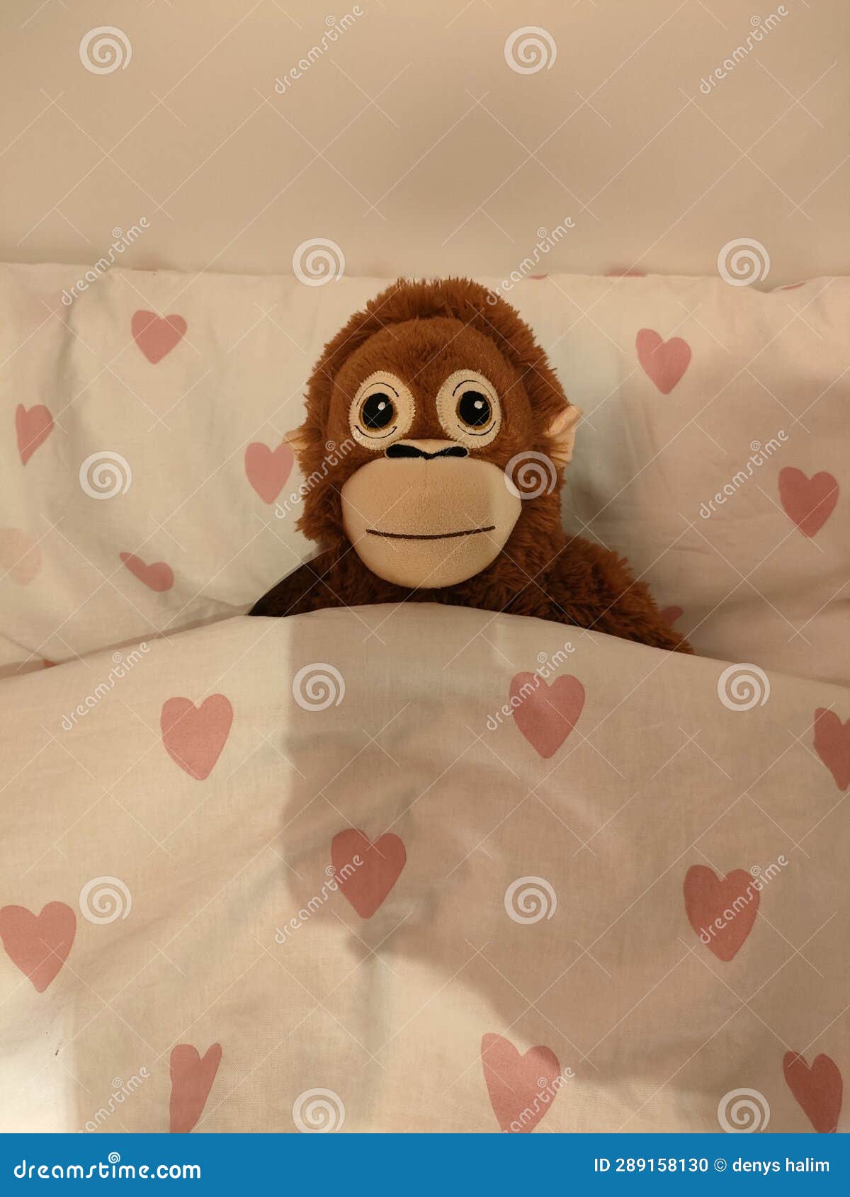 Monkey in bed stock photo. Image of room, monkey, cute - 289158130