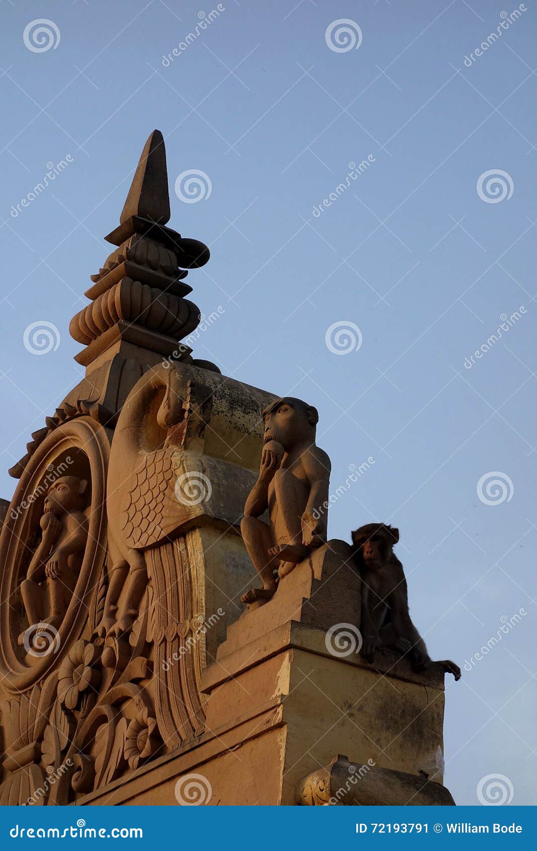 Monkey Behind Monkey Statue Stock Image - Image of sitting, forest ...