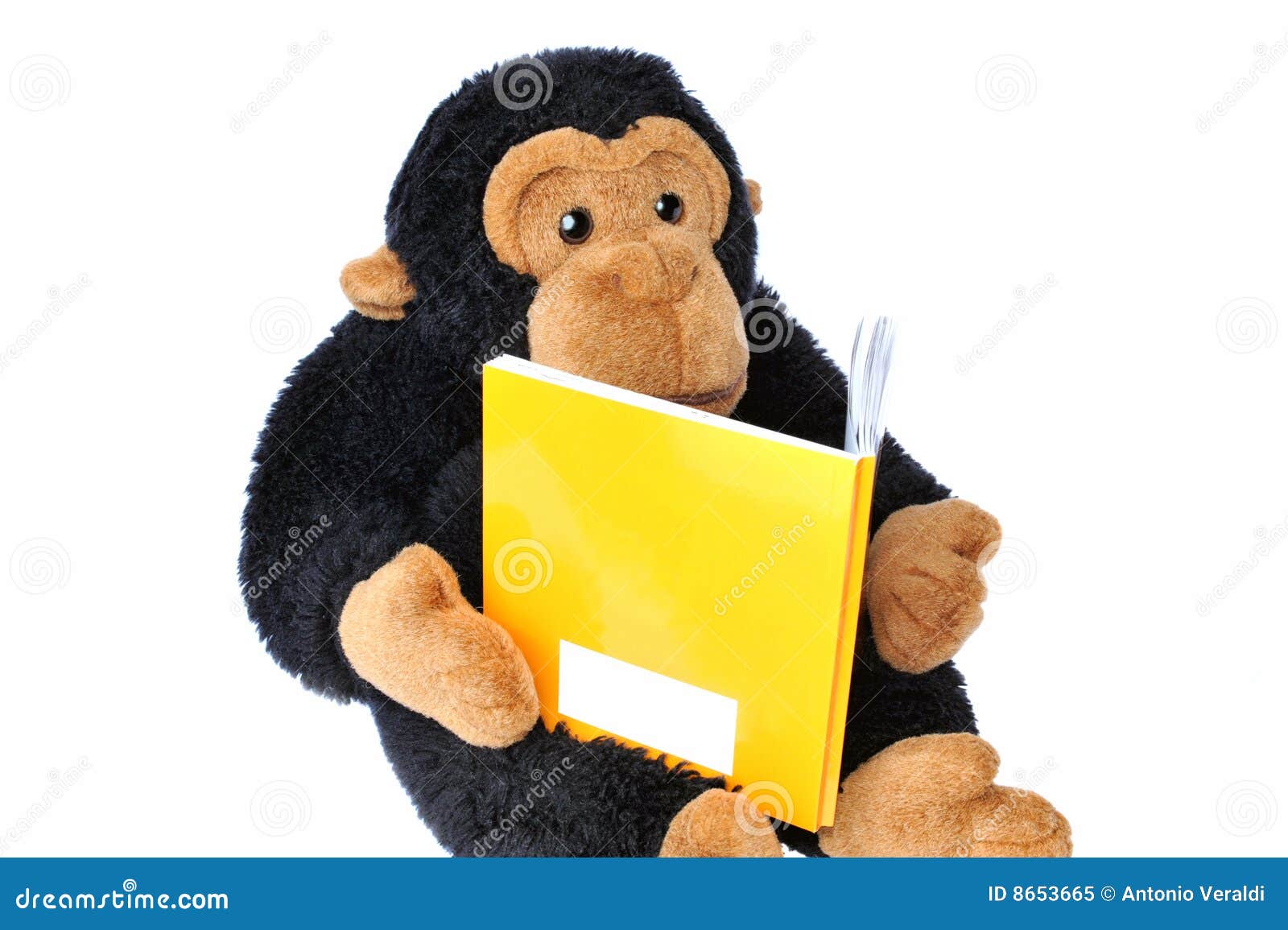 Monkey with book stock image. Image of chimp, child, comfort - 8653665
