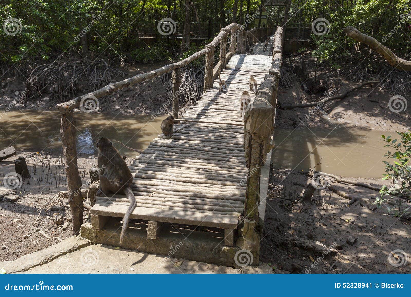 Monkey at the bridge stock image. Image of wooden, mammal - 52328941