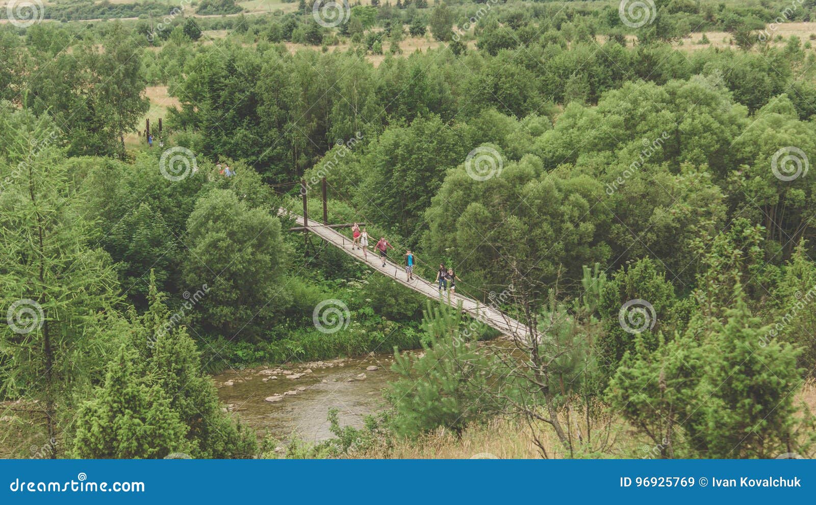 Monkey bridge stock image. Image of scar, stream, monkey - 96925769