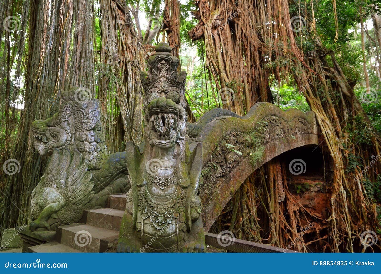 Monkey Bridge Ubud Bali stock image. Image of banyan - 88854835