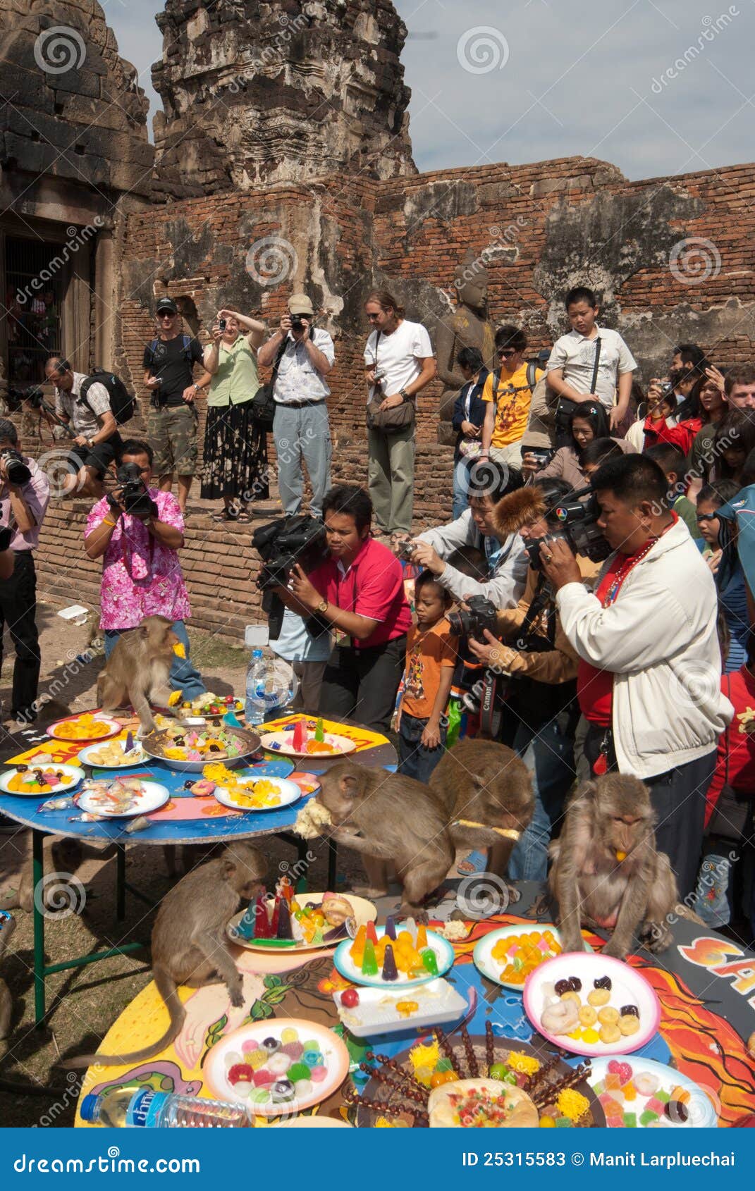 Monkey Buffet. Editorial Image | CartoonDealer.com #25315696