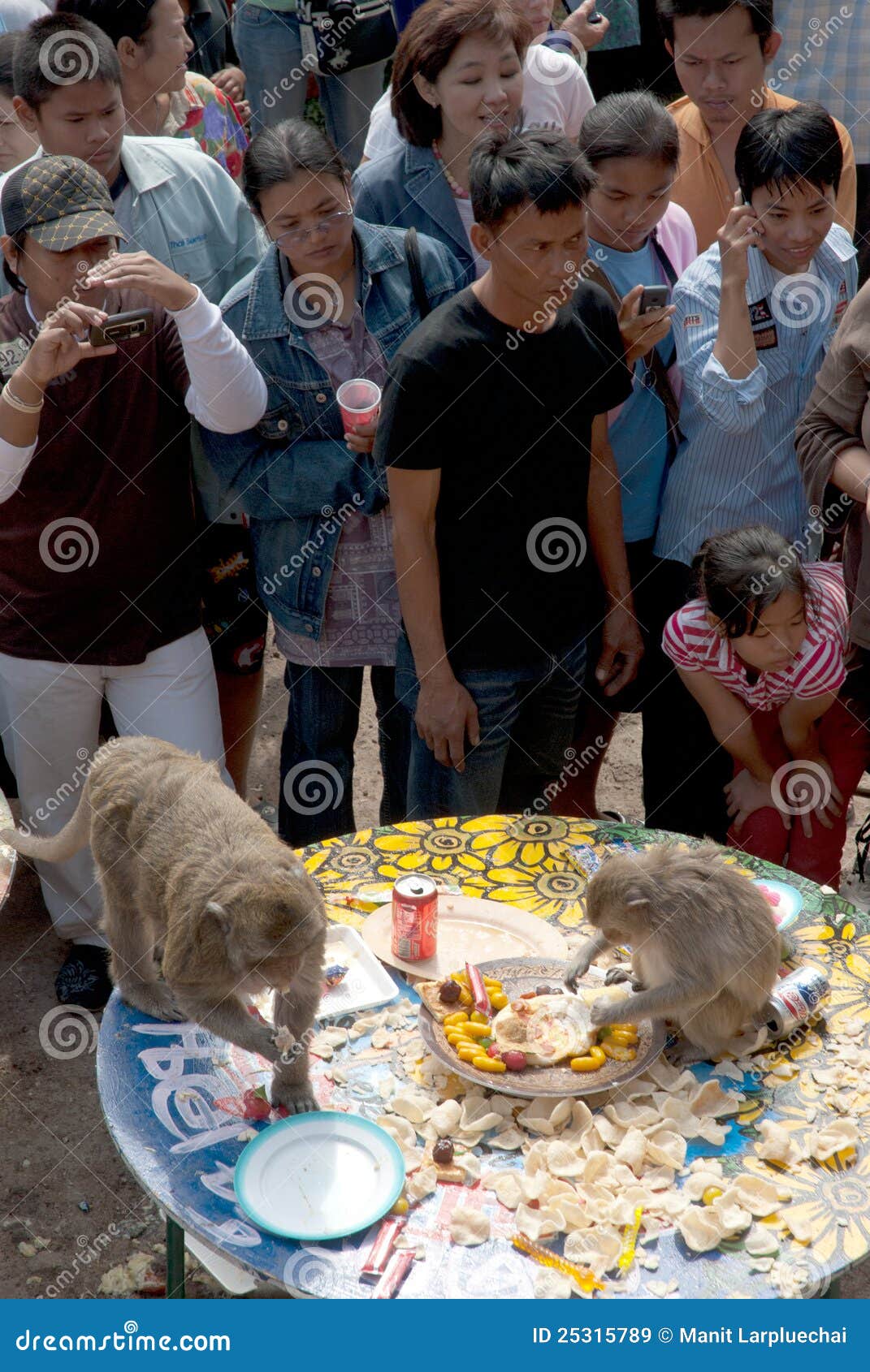 Monkey Buffet. Editorial Image | CartoonDealer.com #25315696